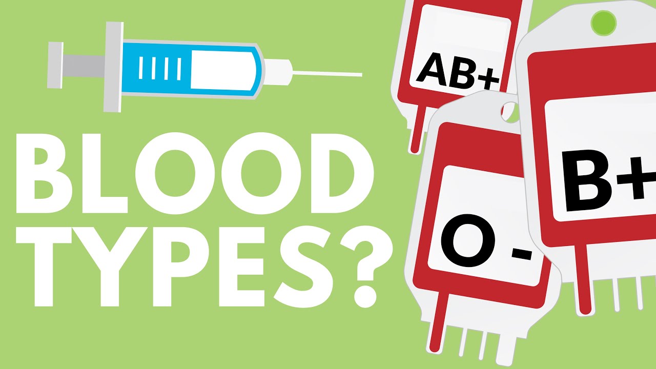 Why Do We Have Different Blood Types? | Amazing Science Facts