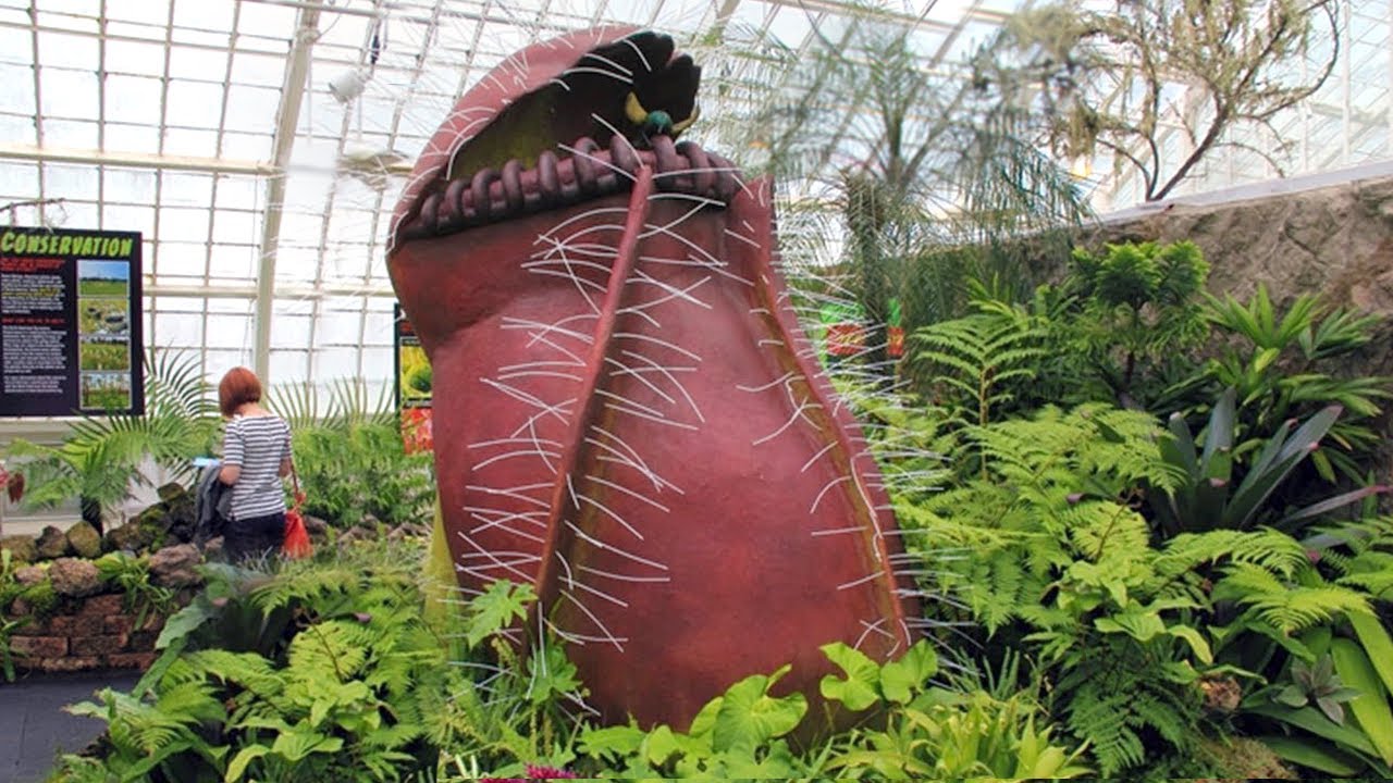 15 plants that eat animals | Amazing Science Facts